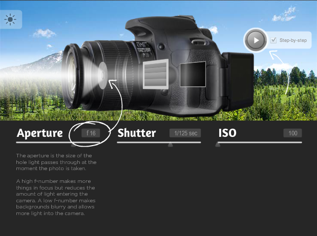 How To Not Drop Your Camera: Step by Step Directions For Putting the ...