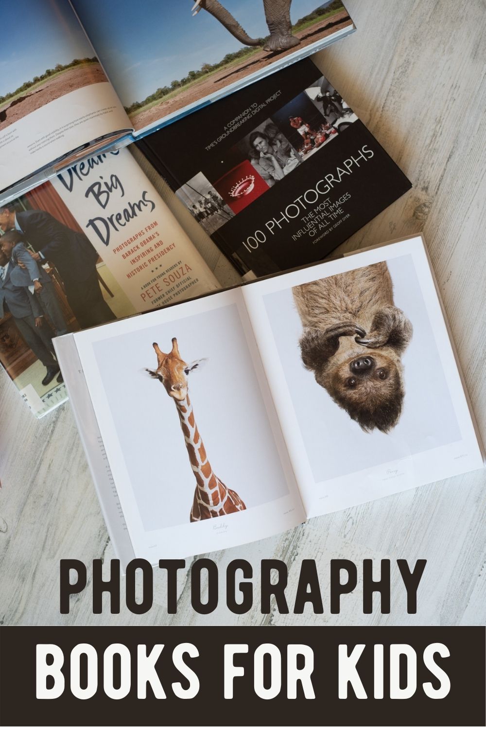 25+ Books for Kids Who Love Taking Photos - Snap Happy Mom